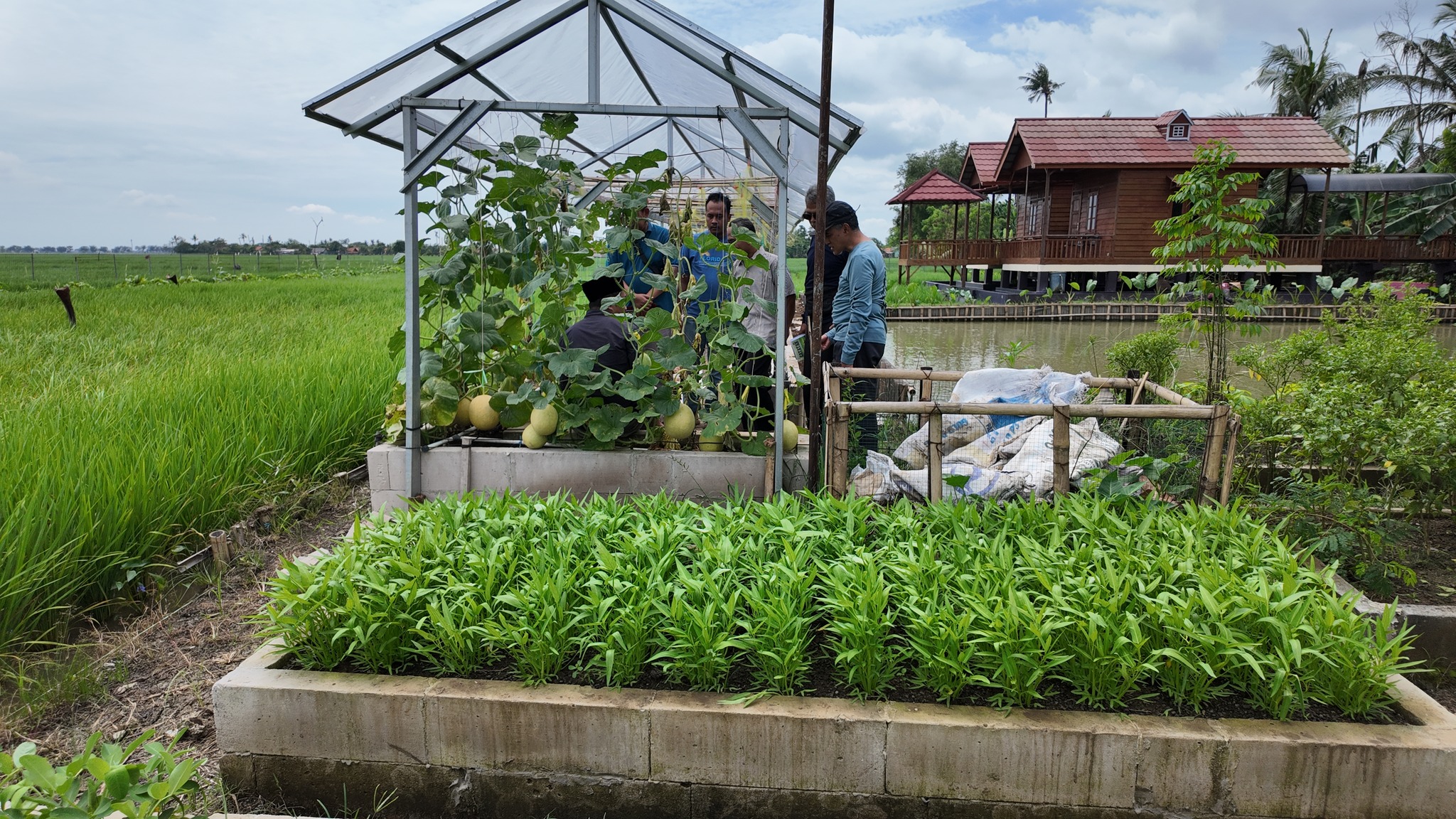 Strategi Memaksimalkan Pemanfaatan Lahan – Blog Vavai