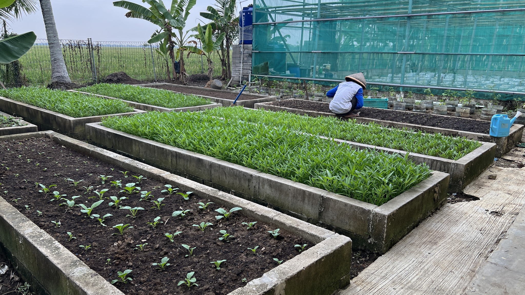 Antara Ekspansi dan Memaksimalkan Pemanfaatan Lahan yang Ada – Blog Vavai